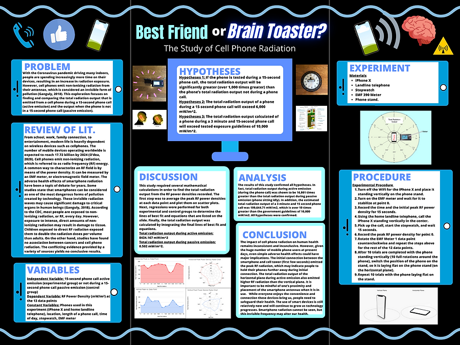 2021 Best Friend or Brain Toaster | Mysite